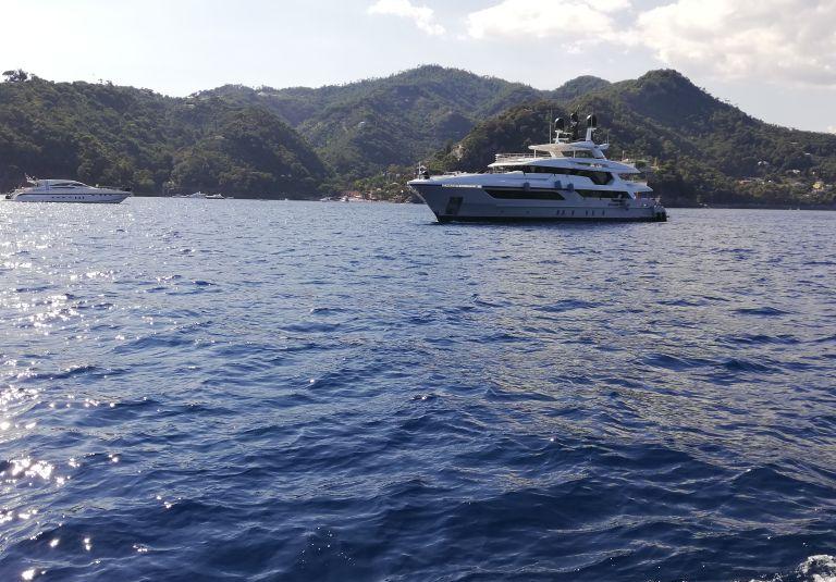 SILVER FOX - Vesseljoin