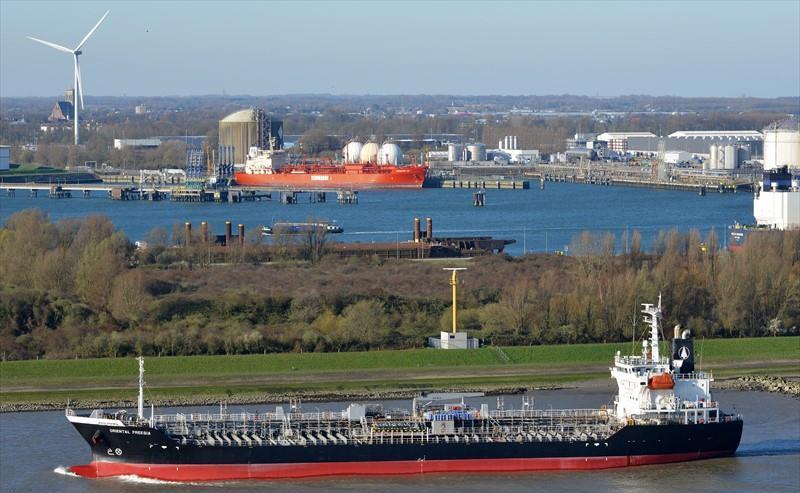 ORIENTAL FREESIA - Vesseljoin