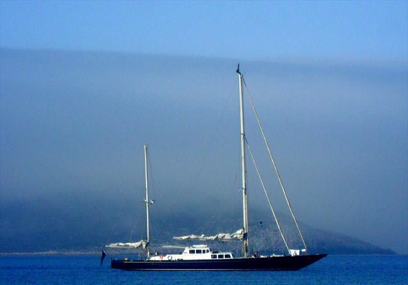 BLUE LEOPARD - Vesseljoin