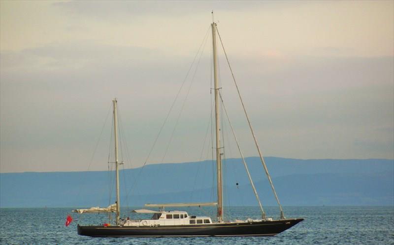 BLUE LEOPARD - Vesseljoin