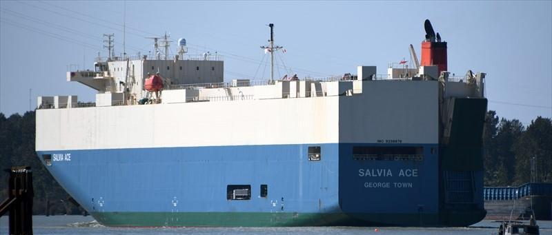 SALVIA ACE - Vesseljoin