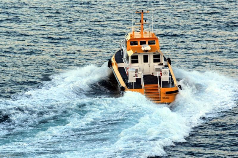 PILOT BOAT VEGA - Vesseljoin