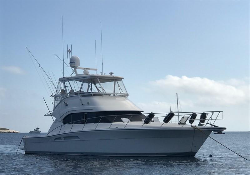 ANGELA KAY - Vesseljoin