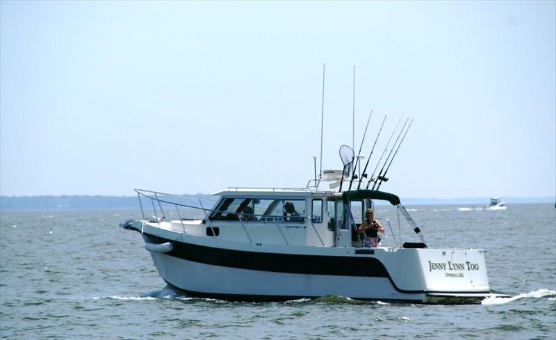 JENNY LYNN TOO - Vesseljoin