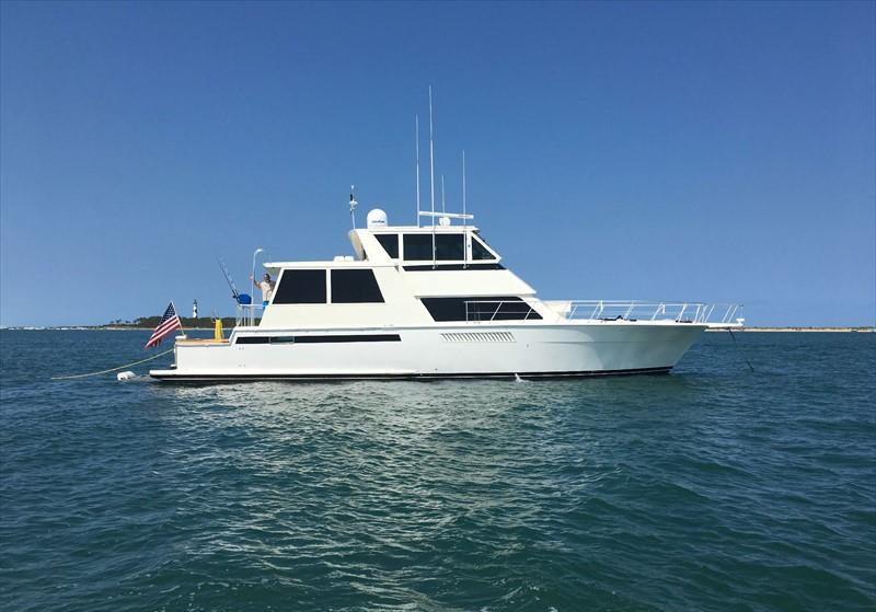 DOWN UNDER - Vesseljoin