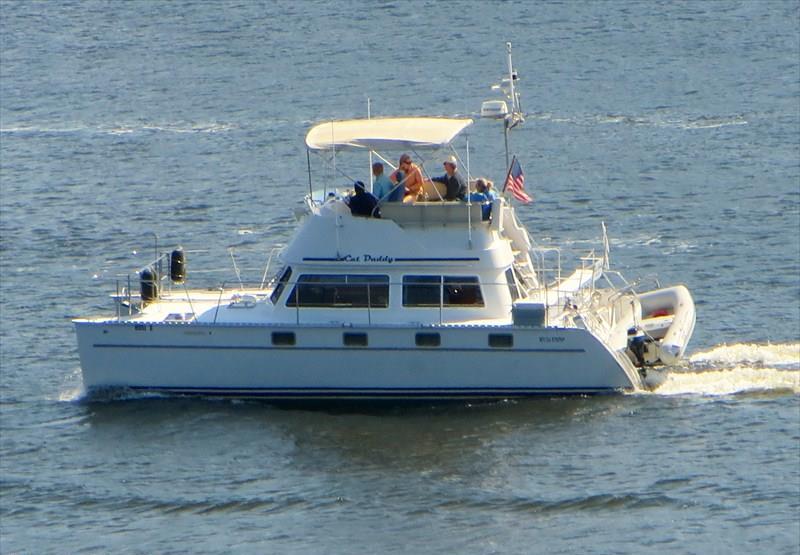 CAT DADDY - Vesseljoin