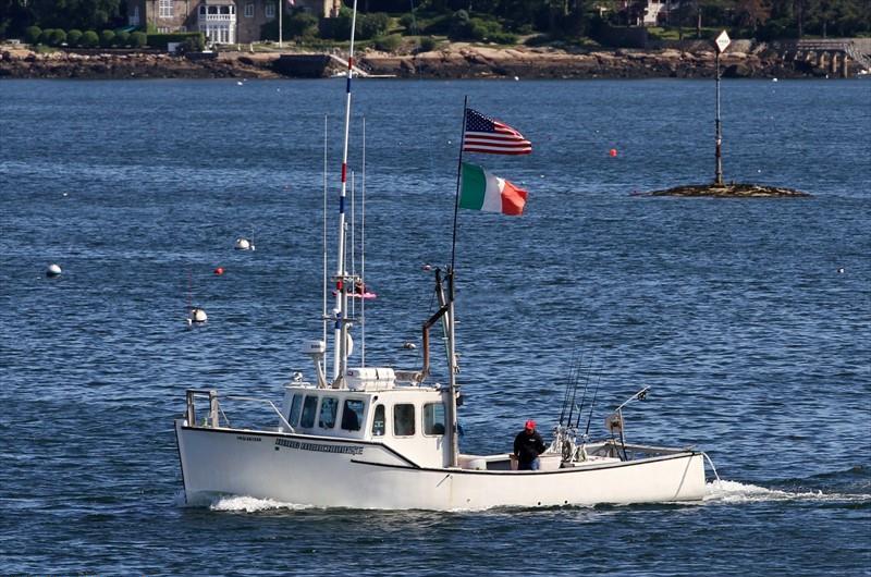 HARD MERCHANDISE - Vesseljoin