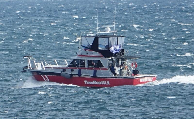 TIMBER WOLF - Vesseljoin