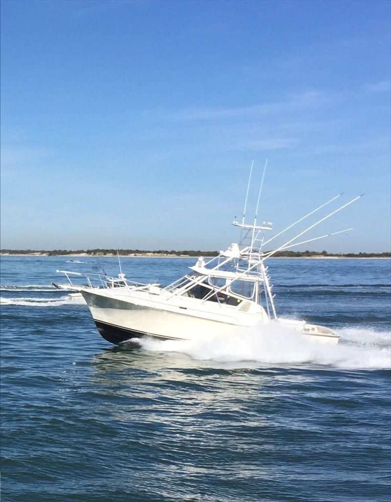 SCOTT FREE - Vesseljoin