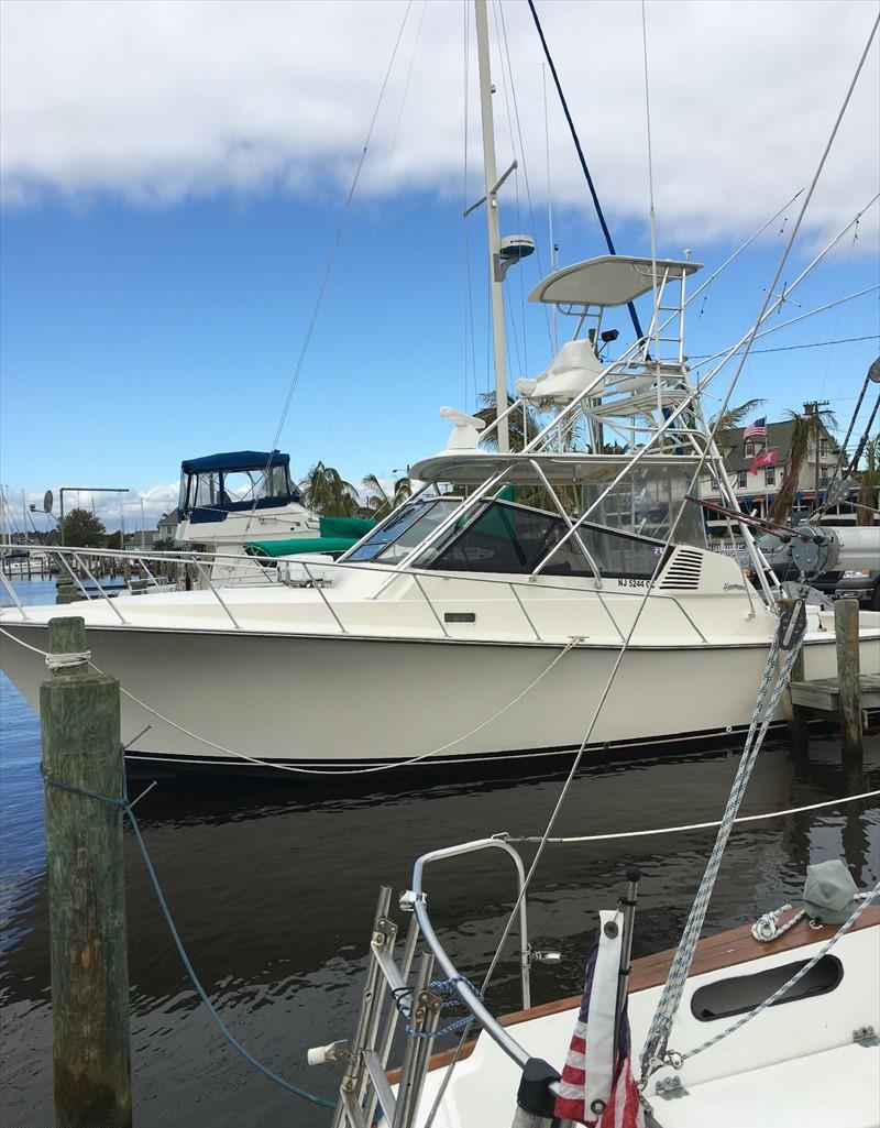 SCOTT FREE - Vesseljoin