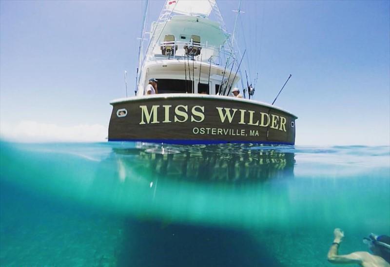 MISS WILDER - Vesseljoin