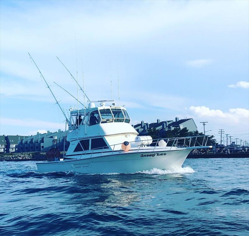 JENNY LEE - Vesseljoin