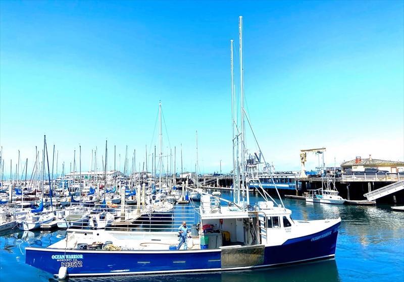 OCEAN WARRIOR - Vesseljoin