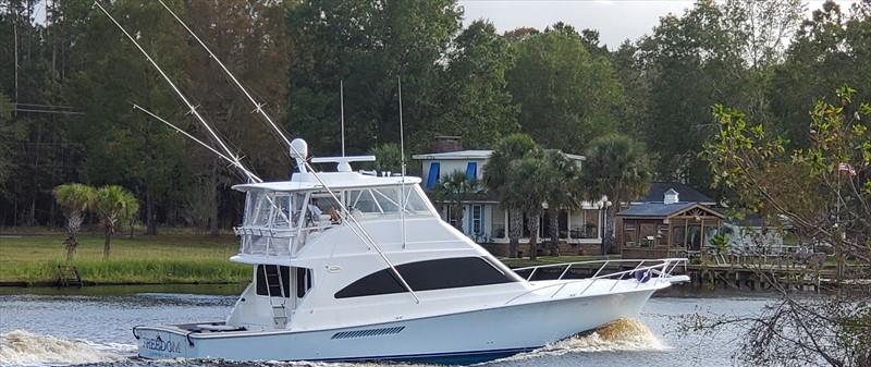 FREEDOM - Vesseljoin