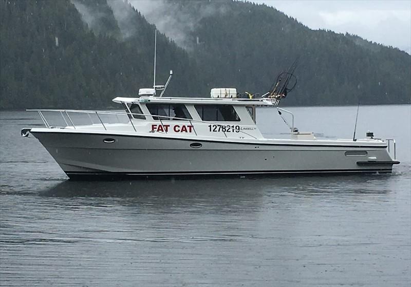 FAT CAT - Vesseljoin