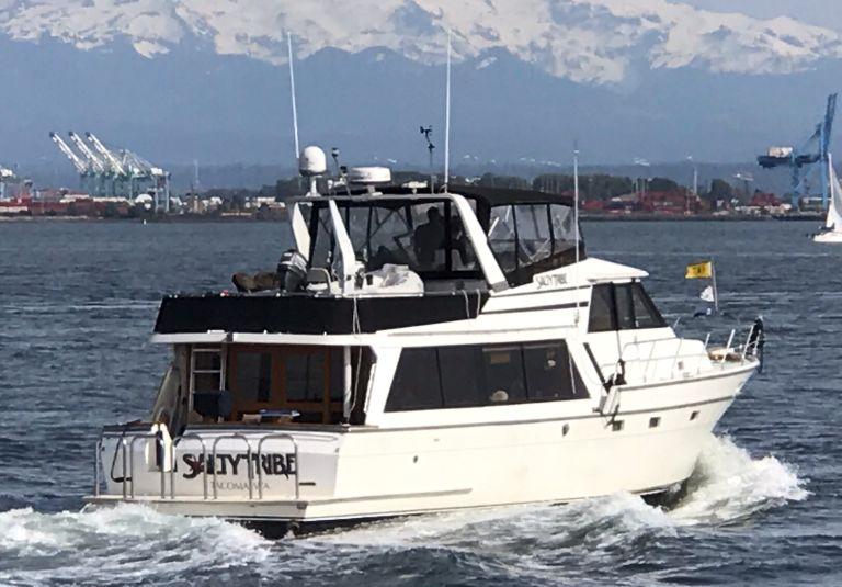 SALTY TRIBE - Vesseljoin