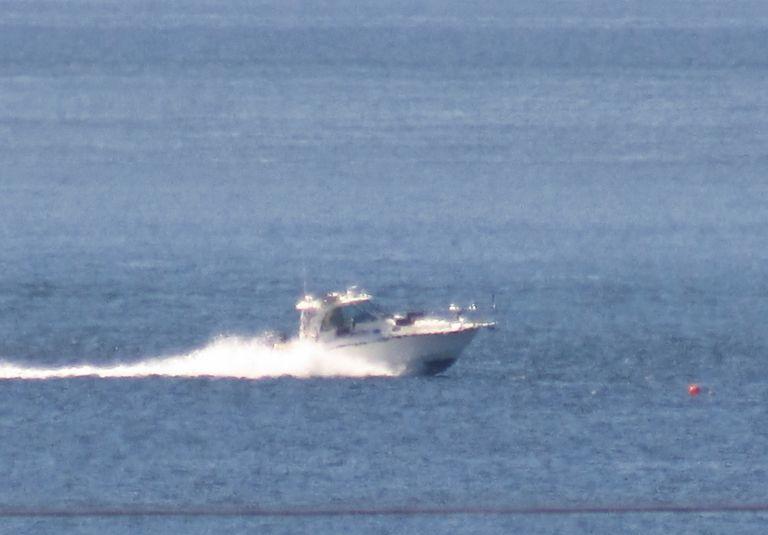 REEL THERAPY - Vesseljoin