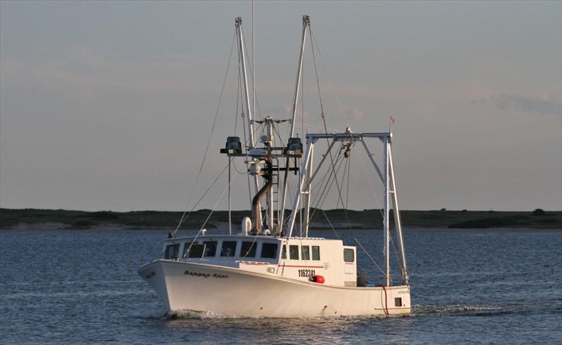 SANDRA ANNE - Vesseljoin