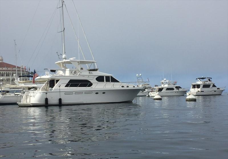 BUENA VIDA - Vesseljoin