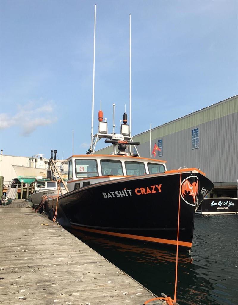 BATSHIT CRAZY - Vesseljoin