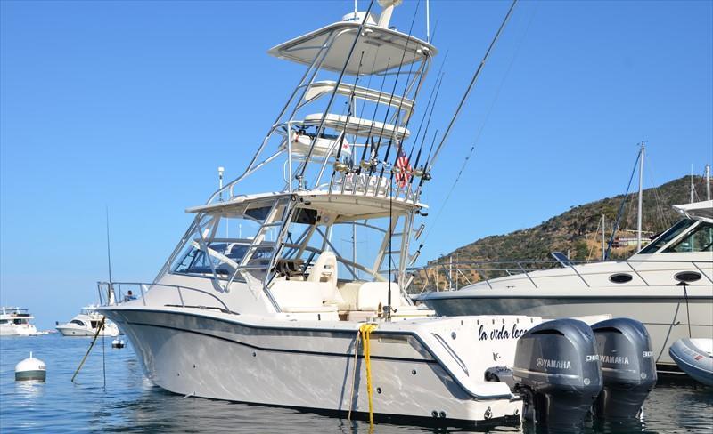 LA VIDA LOCA - Vesseljoin