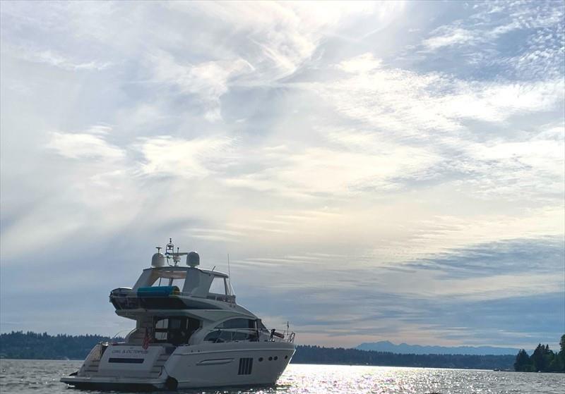 OWL AND OCTOPUS - Vesseljoin