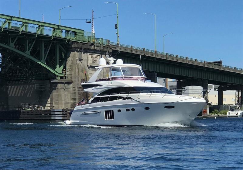 OWL AND OCTOPUS - Vesseljoin