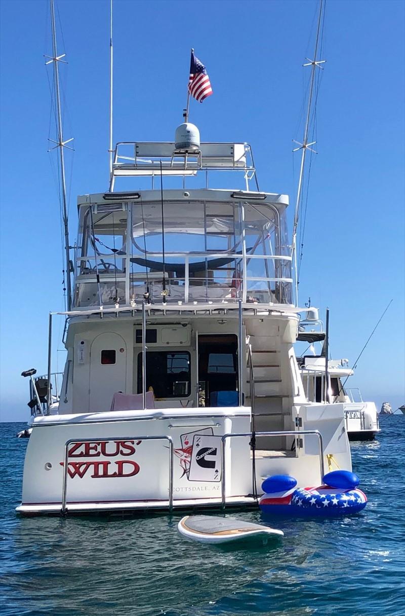 ZEUS WILD - Vesseljoin