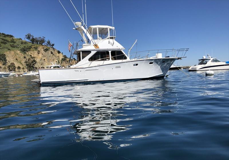 PREDATOR II - Vesseljoin