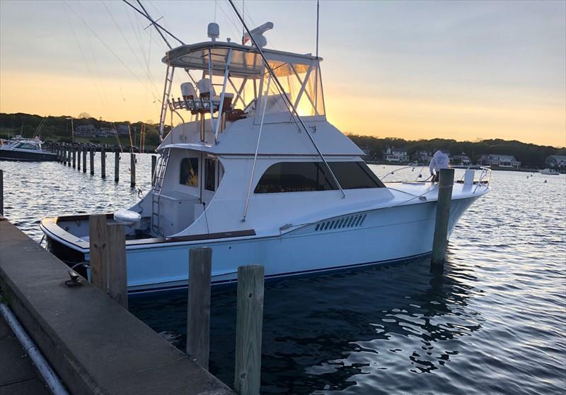 JULIA G - Vesseljoin