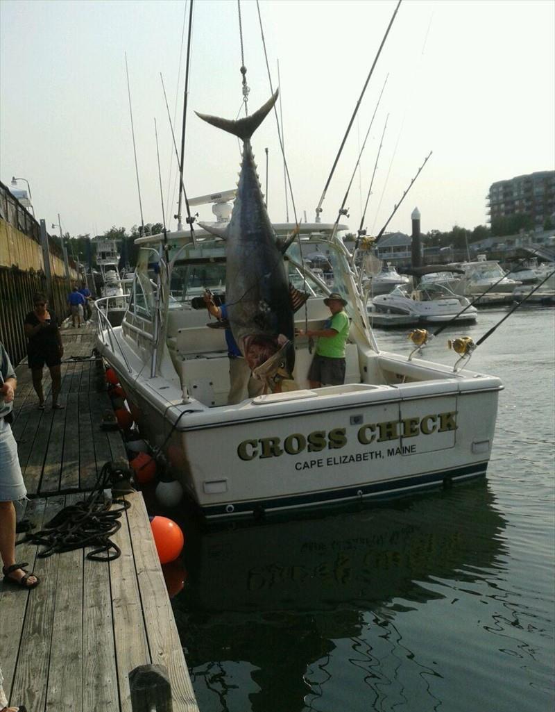 CROSS CHECK - Vesseljoin