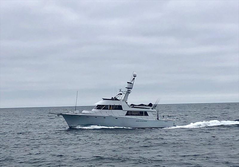 ISLAND FOX - Vesseljoin