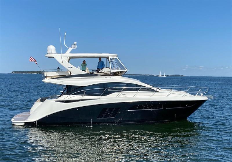 WILD HARE - Vesseljoin