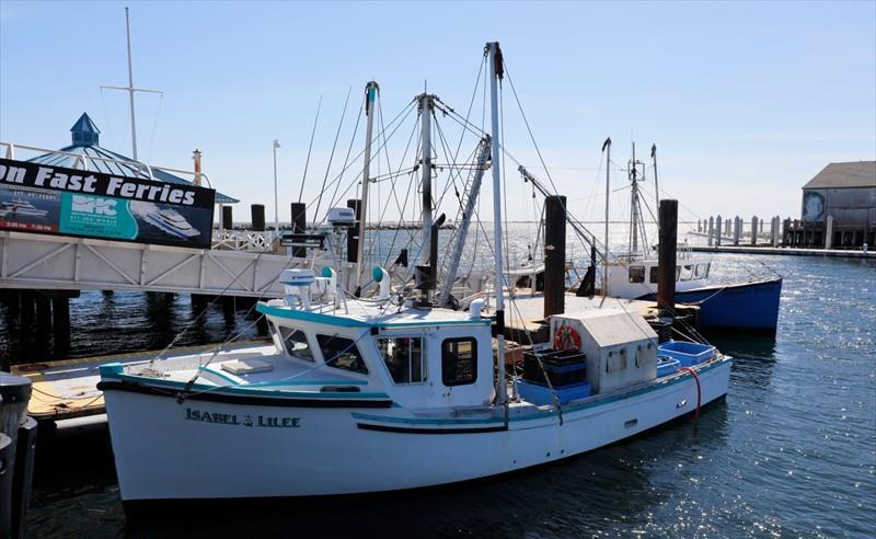 ISABEL LILEE - Vesseljoin