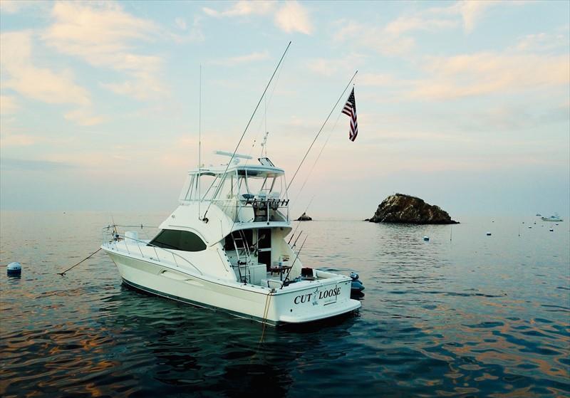 CUT LOOSE - Vesseljoin