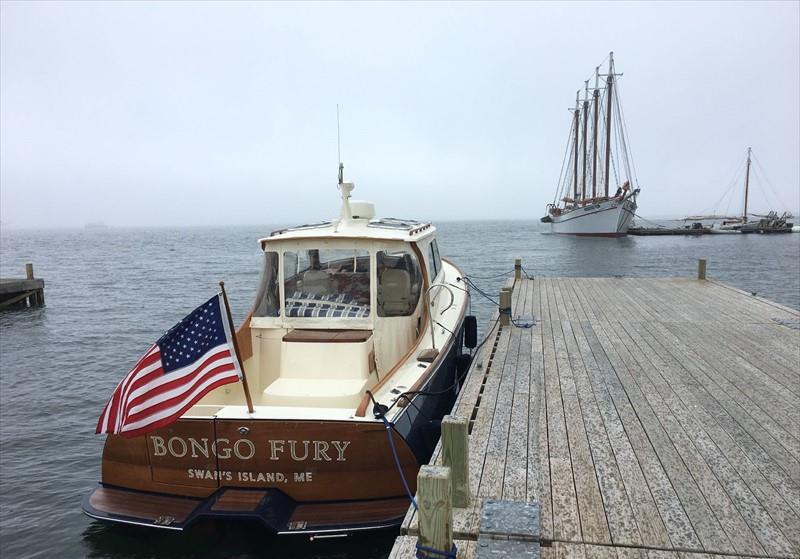 BONGO FURY - Vesseljoin