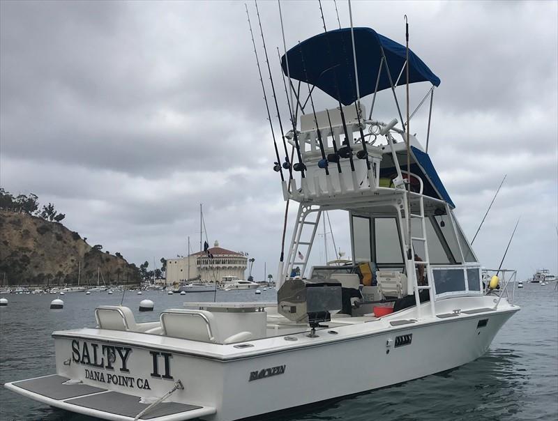 SALTY II - Vesseljoin