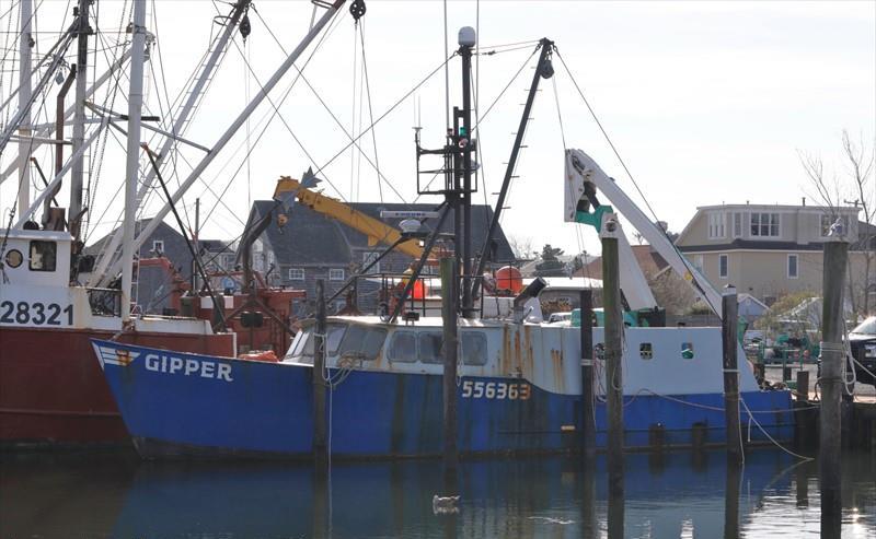 THE GIPPER - Vesseljoin