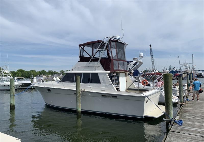 ANCHOR MANAGEMENT - Vesseljoin