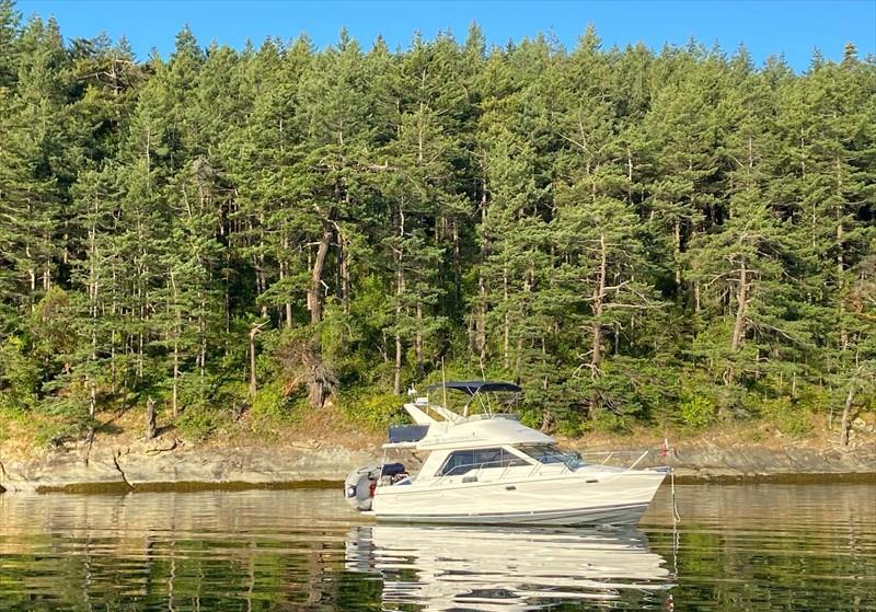 OYSTER BAR - Vesseljoin