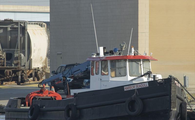 HARBOR SEAGULL - Vesseljoin