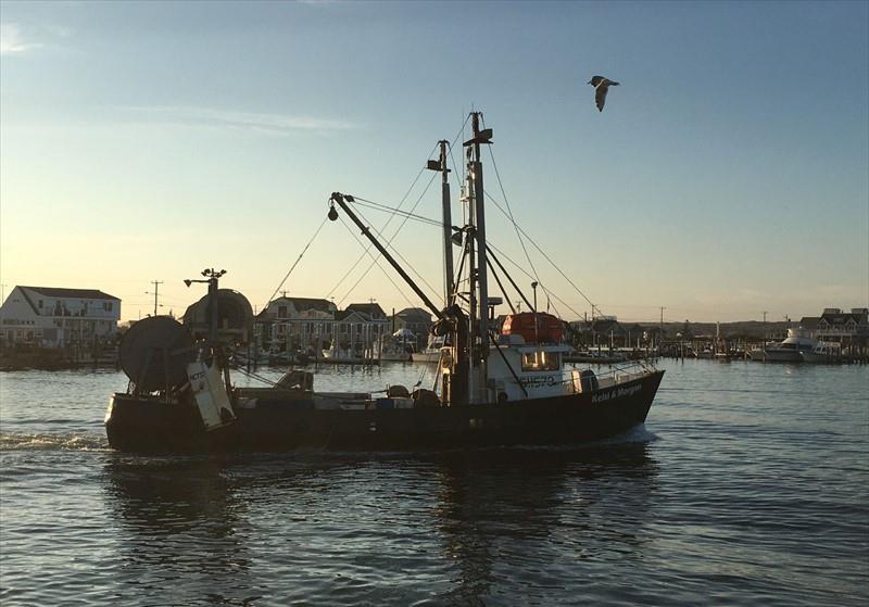 KELSI MORGAN - Vesseljoin