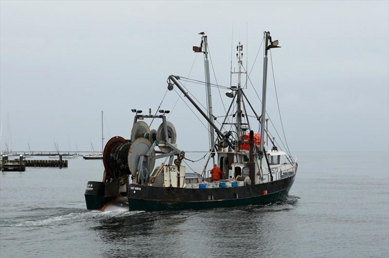 KELSI MORGAN - Vesseljoin