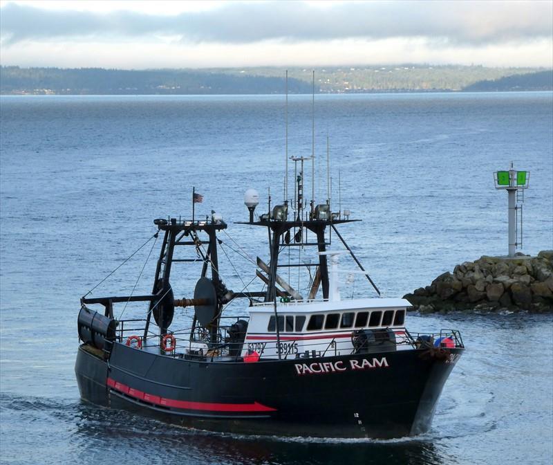 PACIFIC RAM - Vesseljoin