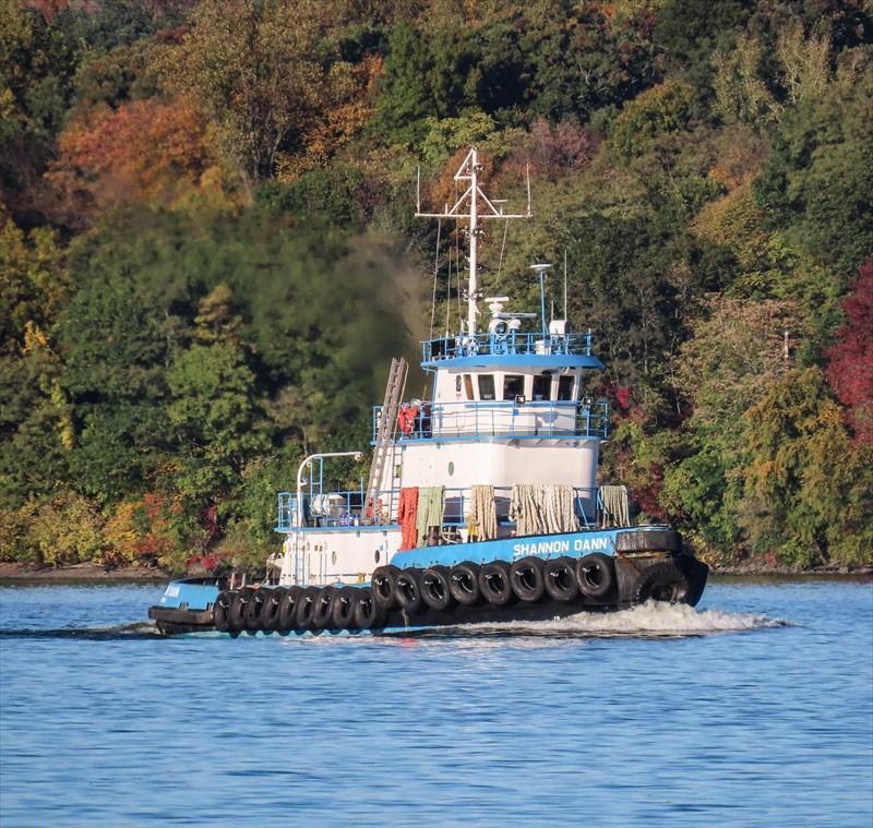 SHANNON DANN - Vesseljoin