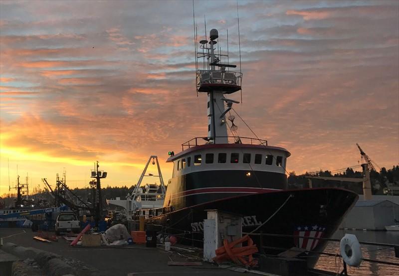 STORM PETREL - Vesseljoin