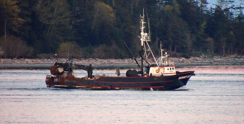 SUNSET BAY - Vesseljoin