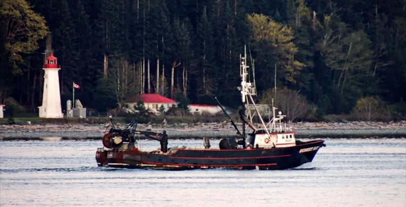 SUNSET BAY - Vesseljoin