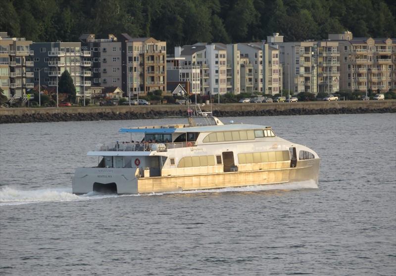 SALLY FOX - Vesseljoin