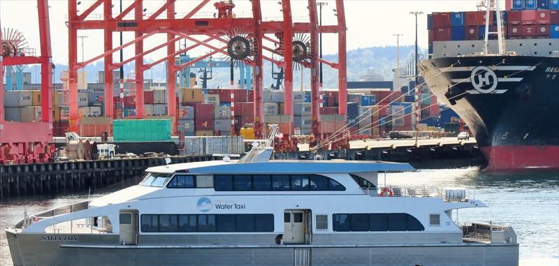 SALLY FOX - Vesseljoin